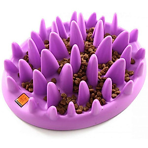 The Company of Animals CATCH Interactive Feeder, Purple