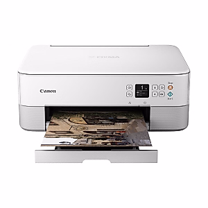 Canon PIXMA TS5320 All in One Wireless Printer, Scanner, Copier with AirPrint, White, Works with Alexa