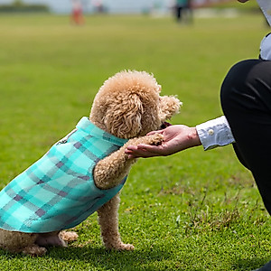 Weewooday 4 Pieces Winter Fabric Dog Sweater with Leash Ring Fleece Vest Dog Pullover Jacket Warm Pet Dog Clothes for Puppy Small Dogs Cat Chihuahua(S)