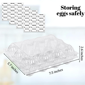 LOVEINUSA 48PCS Clear Egg Cartons, Plastic Egg Holders Egg Cartons Cheap Bulk for Home Ranch Chicken Farm Market Display 12-cavity