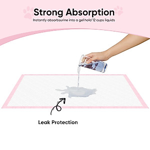 Super-Absorbent Leak-Proof Dog and Puppy Pet Training Pad, Housebreaking Puppy Pads Disposable (18" X 24" - Small 50PCS)