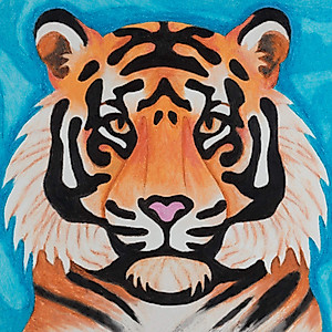 Hi Def ORB Creation System Assortment