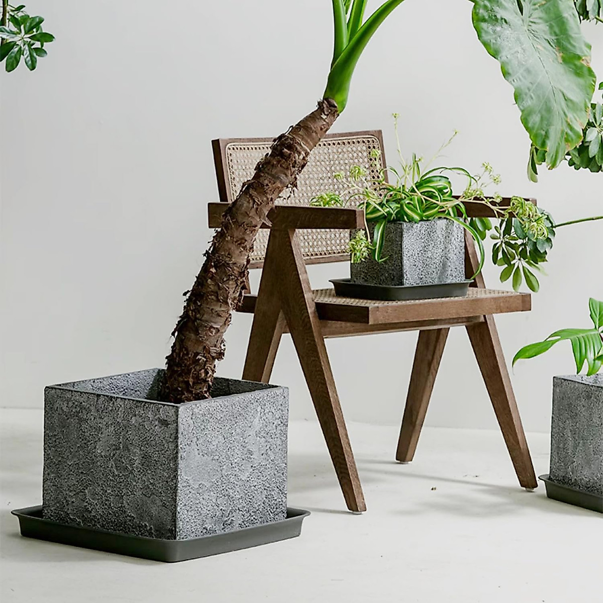 LWALRS Square Plant Saucer 6 8 10 12 14 16 18 20 Inch 5 Pack, Plastic Plant Saucers, Plant Water Dray Tray, Garden Planters for for Pots Base Indoors and Outdoors Plants（6 inch Black）