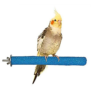 PINVNBY Bird Feeding Dish Cups Parrot Stainless Steel Food Water Dish Perch Stand Platform Feeder Cage Bowl with Clamp Holder for Cockatiel Budgies Parakeet Macaw Small Animal Chinchilla(5 Pack)