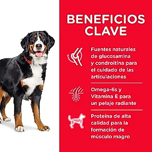 HILL'S Science Diet Large Breed Adult Dry Dog Food, 35 lbs.