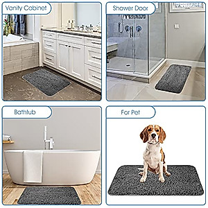 EGYPHY Bathroom Rugs Shaggy Bath Mat, Soft and Absorbent Carpet, Non-Slip Mats Can be Used for Shower, Bathtub, Kitchen, Machine Washable Rug Pad, Plush Microfiber Bath Rugs 17x24 Inches Gray