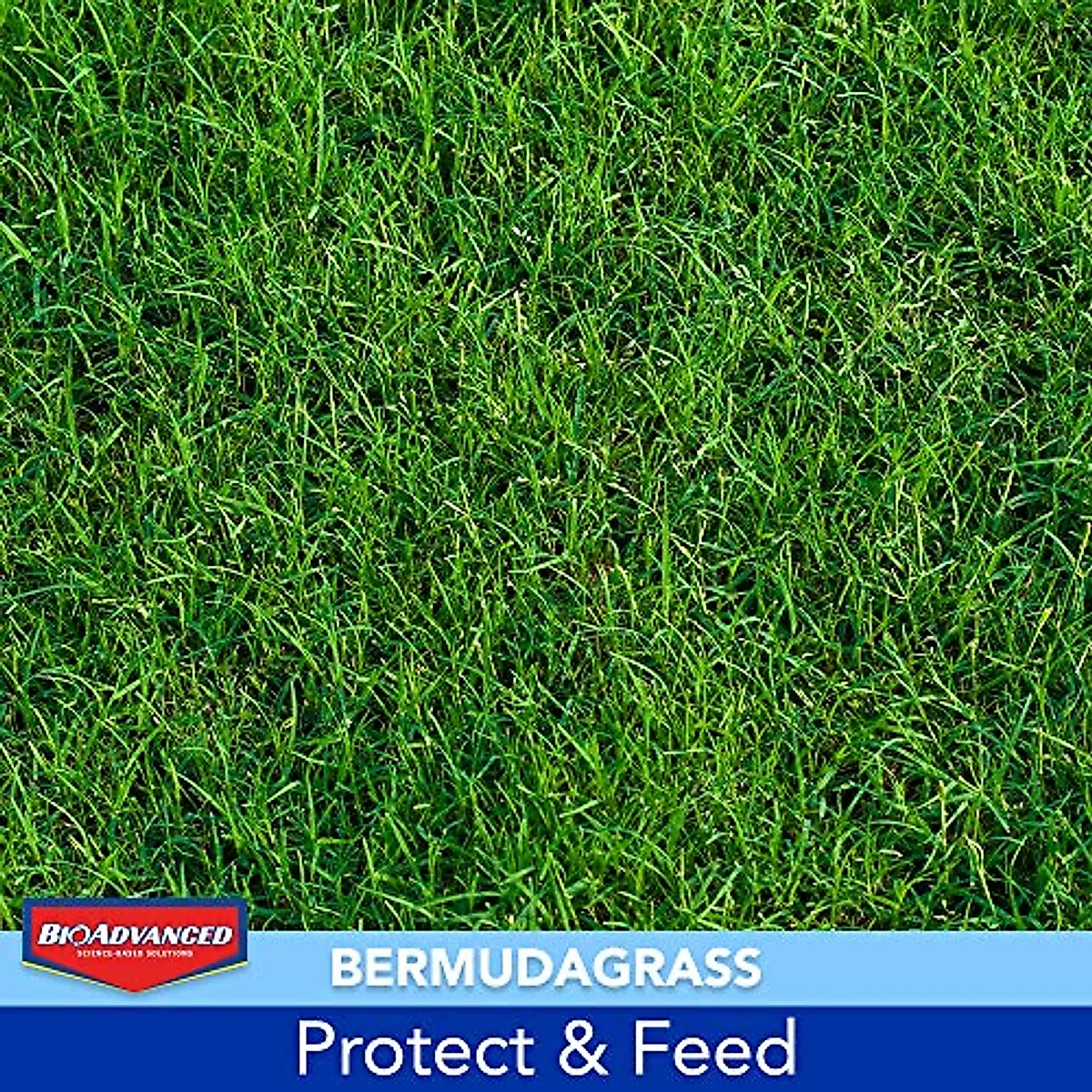 BioAdvanced 3-In-1 Weed and Feed for Southern Lawns, Granules, 12.5 lb, 5,000 Sq Ft