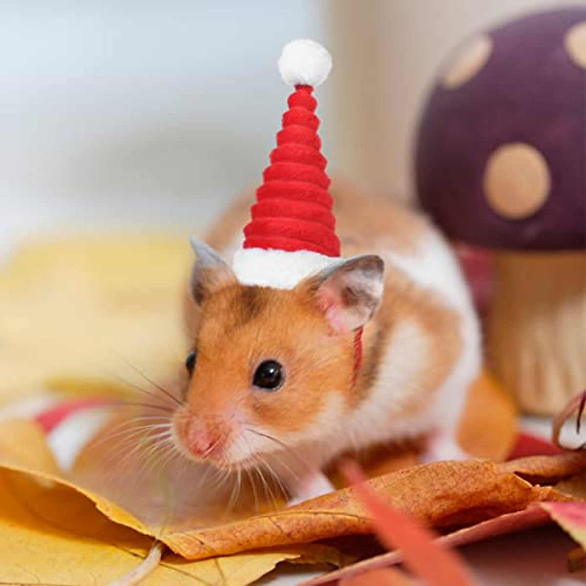 POPETPOP Guinea Pig Costume - Cat Santa Hat Pet Christmas Hat Santa Claus Cap Head Accessories for Rabbit Hamster Guinea Pig Rats Kitten and Small Animals
