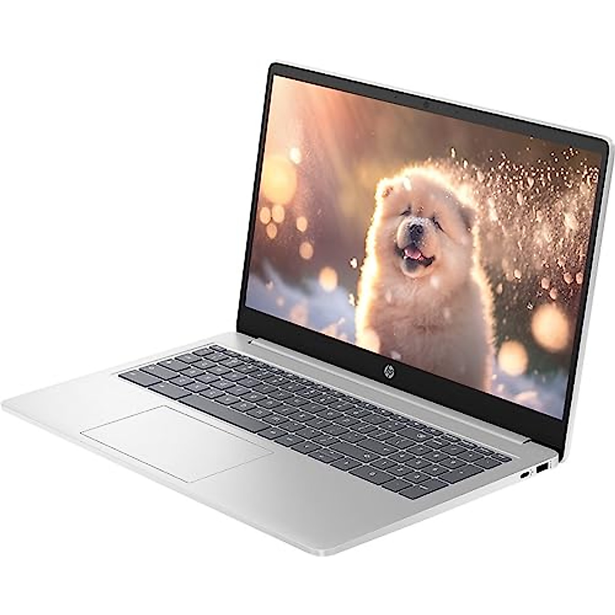 HP Chromebook 15.6 Inch Laptop for College Students, Intel 4-Core Processor N200 (Beat i5-8250U), 8GB DDR5 RAM, 64GB eMMC+128GB SD Card, Chrome OS, UHD Graphics, Natural Silver, PCM