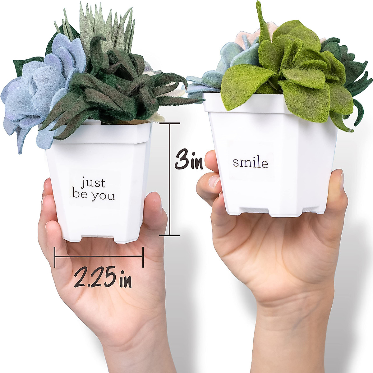 Hapinest DIY Potted Felt Succulents Craft Kit for Adults Women Teens, Arts & Crafts for Kids Fun Activities Project Ideas Hobbies for Women at Home, DIY Crafts for Adults Girls Ages 6-12 Years & Up