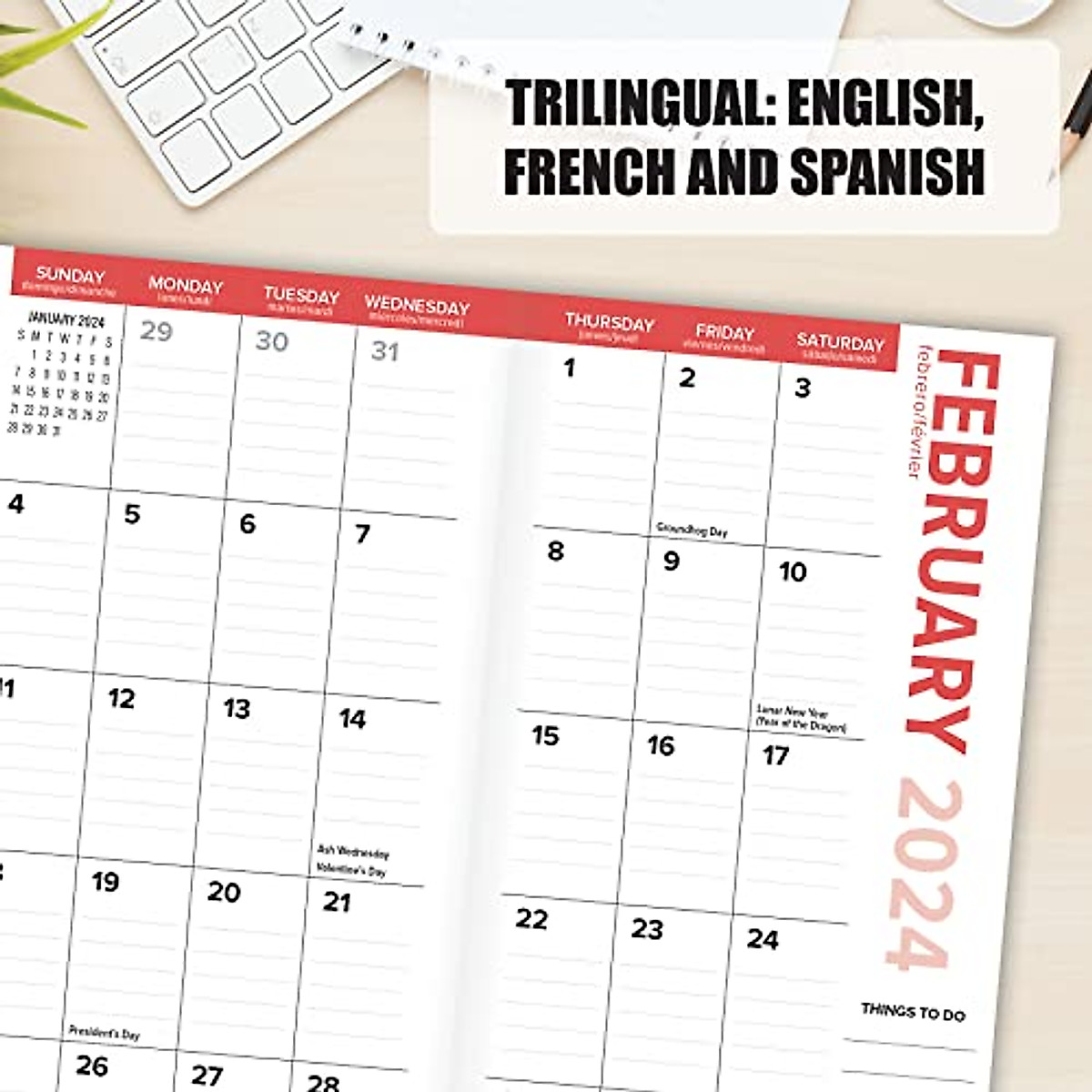 Willow Creek Press Cactus 2-Year January 2024 - December 2025 Monthly Pocket Planner (3.5" x 6.5")