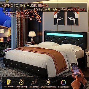TTVIEW Queen Bed Frame with LED Lights, Leather Platform Bed Frame with Adjustable Upholstered Headboard, APP Control LED Lights, No Box Spring Needed, Black