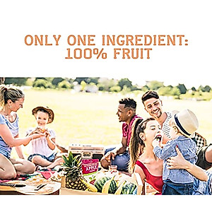 Nature's Turn Freeze-Dried Fruit Snacks, Strawberry Crisps, Pack of 6 (0.53 oz Each)