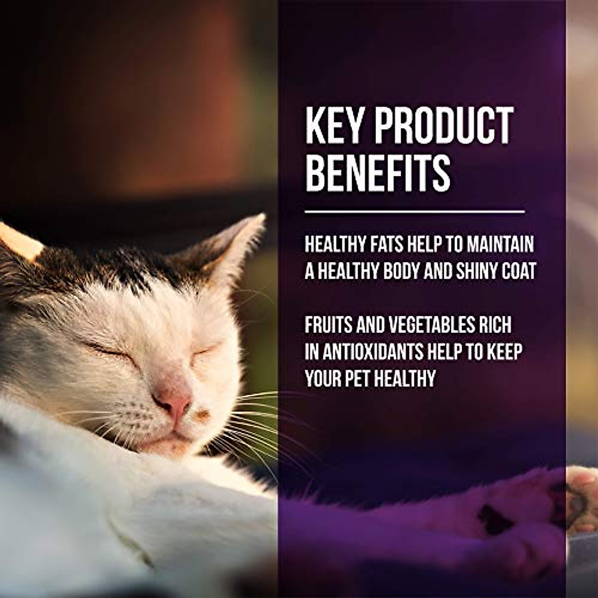 Fussie Cat Market Fresh Quail & Duck Meal Formula Grain-Free Dry Cat Food 4lb