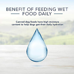 Blue Buffalo Blue's Stew Natural Adult Wet Dog Food, Beef Stew 12.5-oz can (Pack of 12)