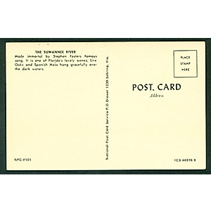 Suwannee River Stephen Foster Song Florida Live Oaks Spanish Moss Vintage Postcard