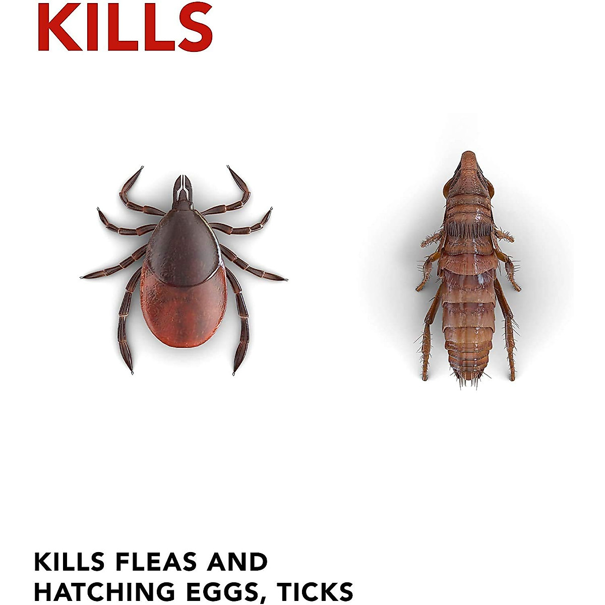 Raid Flea Killer Carpet and Room Spray (16 Ounce (Pack of 6))