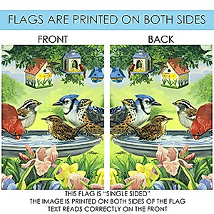 Toland Home Garden 119474 Bathing Birds Spring Flag 12x18 Inch Double Sided Spring Garden Flag for Outdoor House Flag Yard Decoration