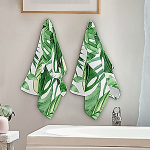 Palm Leaves Tropical Hand Towels Set of 2, Green Monstera Leaf Face Fingertip Towel for Bathroom Soft Absorbent Microfiber Decorative 28x14 in Gym Hotel Spa Yoga Sport