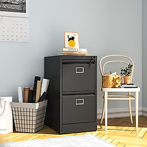 VIYET 2 Drawer File Cabinet,Metal Vertical File Cabinets with Lock for Home Office,Heavy Duty Office Steel Filing Cabinet for Hanging Letters/Legal/A4, Assembly Required (Black)