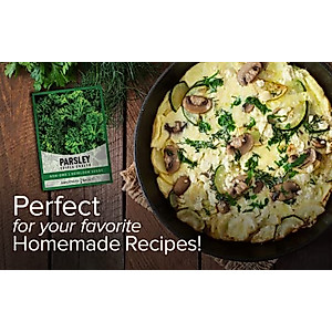 Curled Parsley Seeds for Planting Indoors and Outdoors Heirloom, Open-Pollinated, Non-GMO Curly Herb Variety- Great for Home Gardens and More by Gardeners Basics