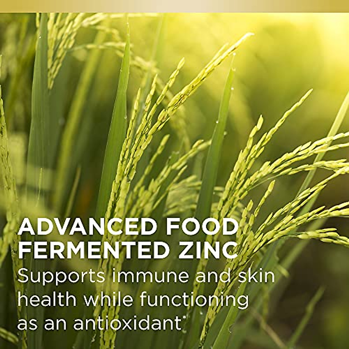 Nature's Bounty Advanced Zinc, High Potency Immune Formula, Koji Fermented Immune Support Supplement, 25 mg, Capsules, 60 Count