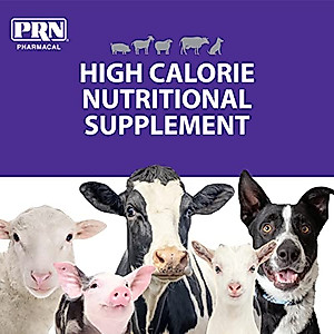 PRN Pharmacal STAT - High Calorie Nutritional Supplement to Help Restore Hydration & Nutrition Levels in Animals - Vanilla Flavored Dietary Support with Vitamin A, D3, C, E, & More - 16 Fl Oz