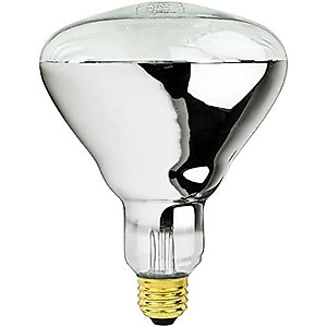 BULBMASTER 250 Watt Heat lamp Bulb for Bathroom R40 Incandescent Shower Heat Lamp Clear Infrared Bath Light 250R40 Chicken Light Bulb E26 Base 2 Pack