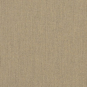 Sunbrella Elements 48031-0000 Spectrum Mushroom Fabric By The Yard