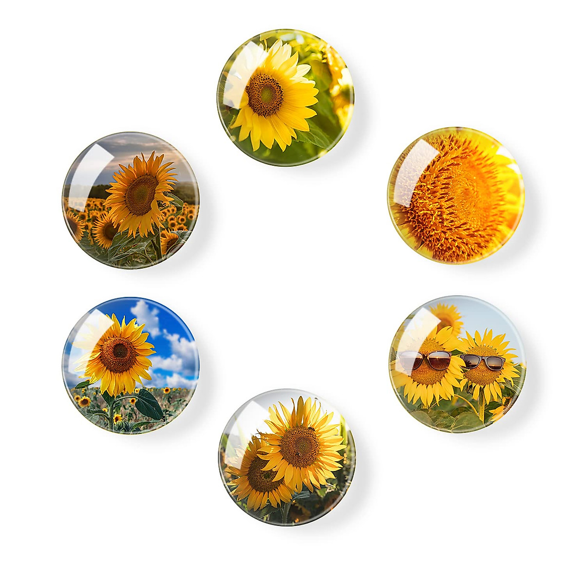 NENNALO 6Pcs Refrigerator Magnets - Glass Strong Magnets for Fridge - Sunflower - Whiteboard Magnets - Small Magnets for Fridge, Office, Home, Kitchen 1.18in, 1.18''