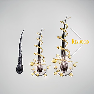 Revivogen MD Bio-Cleansing Shampoo for Thinning Hair, DHT Blocker Shampoo, Hair Loss Shampoo, Shampoo Thinning Hair, Soothes Scalp, Routine Shampoo for Women/Men Hair Loss, Hair Shampoo, 12oz, 2pk