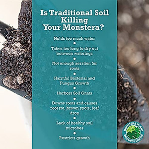 Premium Monstera Potting Soil - Quick Drain Potting Soil for Monstera Deliciosa/Swiss Cheese Plant