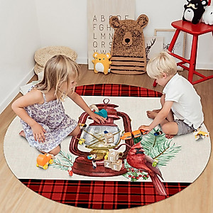 Christmas Bird Area Rug Carpet for Kids Teen Girls Boys Bedroom, Living Room, Washable Outdoor Indoor Accent Throw Runner Floor Mat Area+Rug Retro Red Buffalo Plaid Lattice 3.3FT(Round)