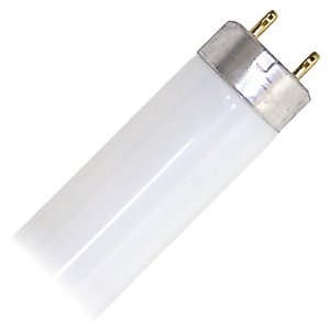 Sylvania 48" 32W T8 Linear Fluorescent Lamp, 5000K Daylight, Dimmable, 1 Pack