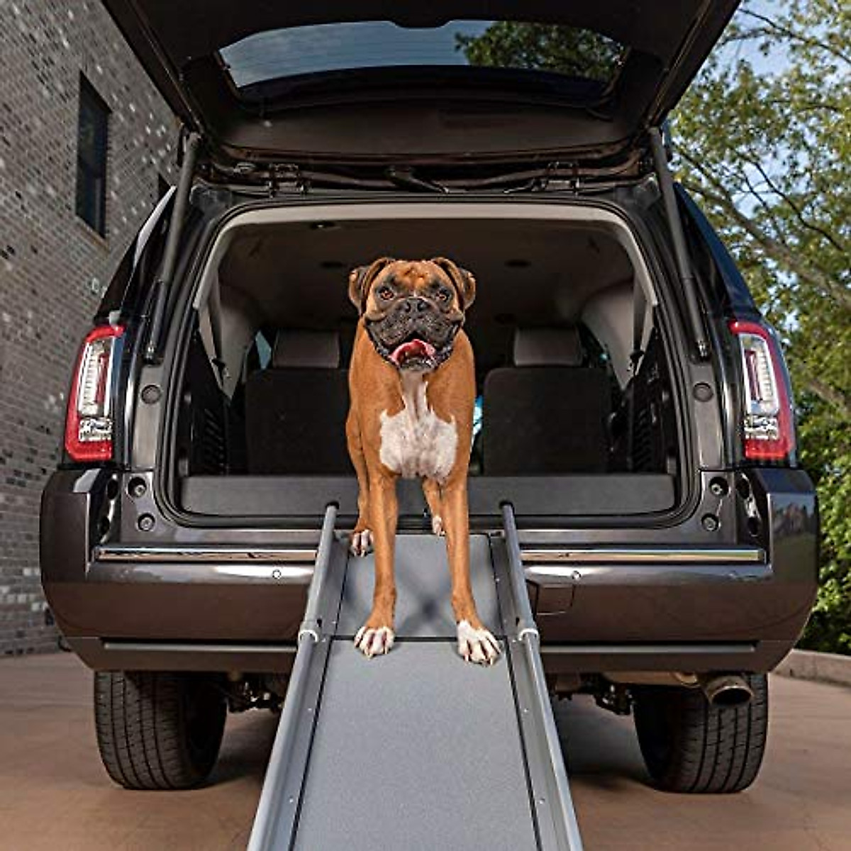 PetSafe Happy Ride Compact Telescoping Dog Ramp - Portable Lightweight Pet Ramp - Great for Cars, Trucks and 4X4s - Durable Aluminium Frame Supports up to 140 kg - High-Traction Surface Design