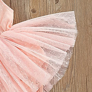 Infant Baby Girl Summer Outfits Sleeveless Dress Romper Lace Tutu Onesie Backless Jumpsuit Ruffle Bodysuit One Piece (I-Pink, 6-12 Months)