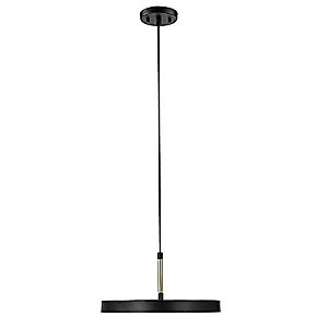 Globe Electric 60766 Novogratz x Globe Pendant, Matte Black with Brushed Brass