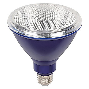 Westinghouse Flood Outdoor Weatherproof LED Light Bulb with Medium Base