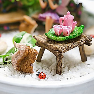 PRETMANNS Fairy Garden Fairies Figurines - Fairy for Fairy Gardens - Fairy Garden Accessories - Miniature Garden Fairy Bella & Outdoor Fairy Garden Supplies - Fairy Garden Starter Kit - 14 Pieces