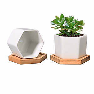 T4U Small White Succulent Planter Pots with Bamboo Tray Hexagon Set of 2, Geometric Cactus Plant Holder Container for Home Office Table Desk Decoration for Mom Aunt Sisiter Gardener