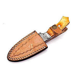 Nooraki SK-REG 44 Custom Handmade Damascus Steel Knife, Hunting knife, Camping knife, Survival Knife, Coloured Bone Handle, Full Tang with Leather Sheath