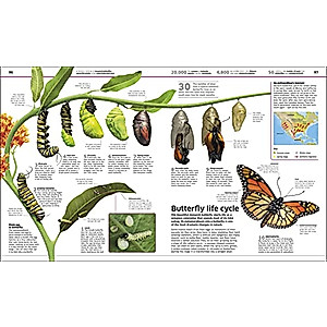 Knowledge Encyclopedia (Updated and Enlarged Edition): The World as You've Never Seen It Before (DK Knowledge Encyclopedias)