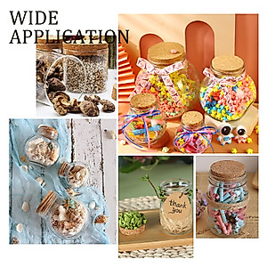 BENECREAT 6Pcs Cork Bottle Stoppers, Tapered BurlyWood Wooden Wine Bottle Cork Stoppers for Wine Beer Bottle Crafts, 2.5inch in Diameter