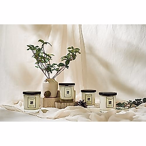 CULTURE & NATURE Lime Basil & Mandarin Scented Soy Candle (8oz), 100% Natural Soy Wax, Clean Long Burning Wooden Wick, Luxury Home Fragrance