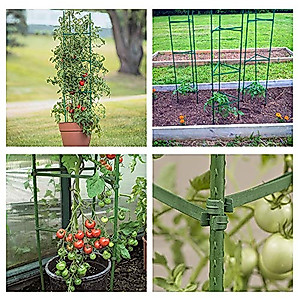 GROWNEER 6 Packs Tomato Cages, Up to 51 Inches Plant Cages Assembled Tomato Garden Cages Stakes Vegetable Support Trellis, with 18Pcs Clips and 328 Feet Twist Tie, for Vertical Climbing Plants