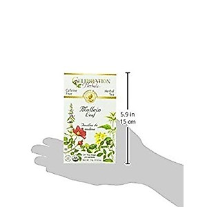 Celebration Herbals Organic Mullein Leaf Tea Caffeine Free - 2 Pack (48 Bags in Total)
