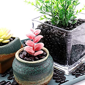 Premium Pebbles Black Rocks for Plants. Polished Decorative Pebbles. 3/8 Inch 2 lbs for Garden, Indoor, Crafting, Succulents, pots, Plants (XSM (0.375 Inch), Black -Polished, 2)