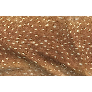 Spoonflower Fabric - Soft Deer Hide Spring Fawn Railroad Skin Animal Willow Printed on Minky Fabric by The Yard - Sewing Baby Blankets Quilt Backing Plush