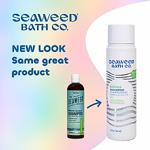 Seaweed Bath Co. Balance Shampoo, Eucalyptus Peppermint Scent, 12 Ounce, Sustainably Harvested Seaweed, Pro Vitamin B5, For Normal to Oily Hair