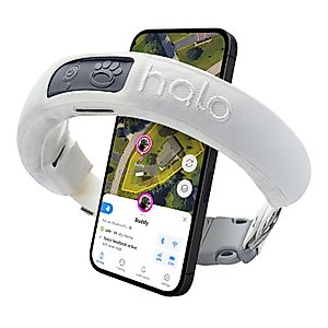 Halo Collar 3 - GPS Dog Fence - Multifunction Wireless Dog Fence & Training Collar with Real-Time Tracking & GPS - Waterproof, Instantly Create and Store Wireless Fences (Medium/Large, Ivory)